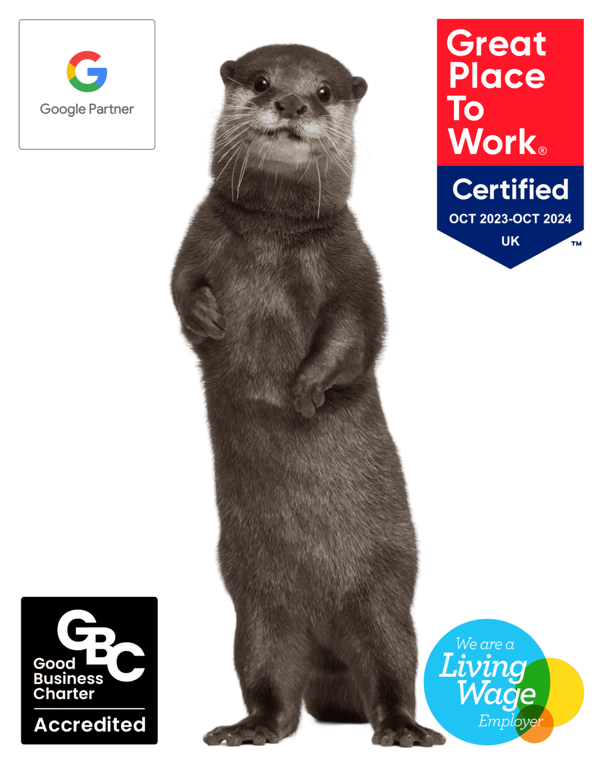 Local Photographer Birmingham | 5* Rated - Darron Palmer